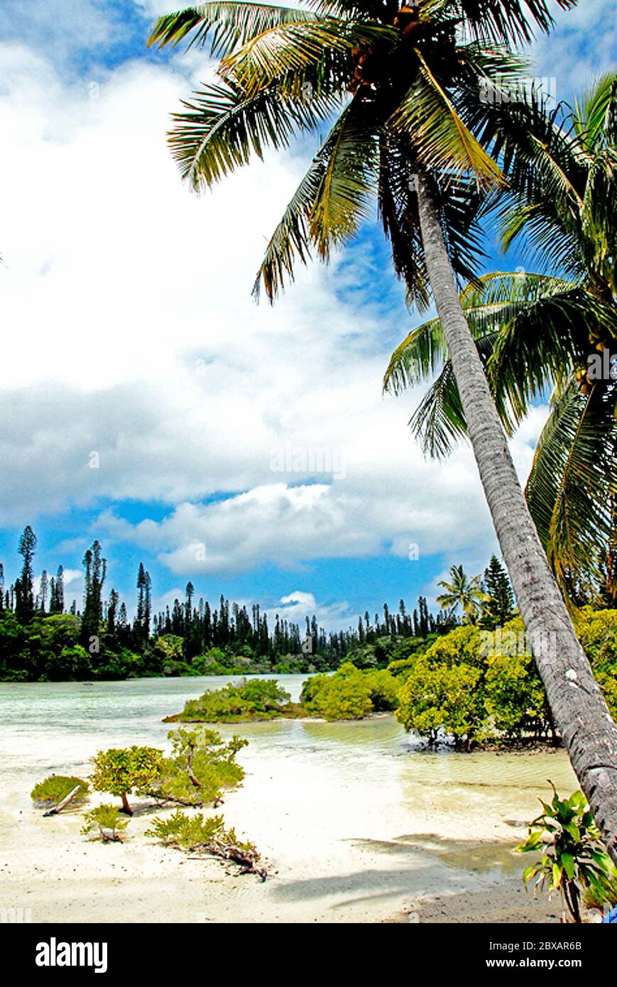 South province new caledonia hi-res stock photography and images - Alamy