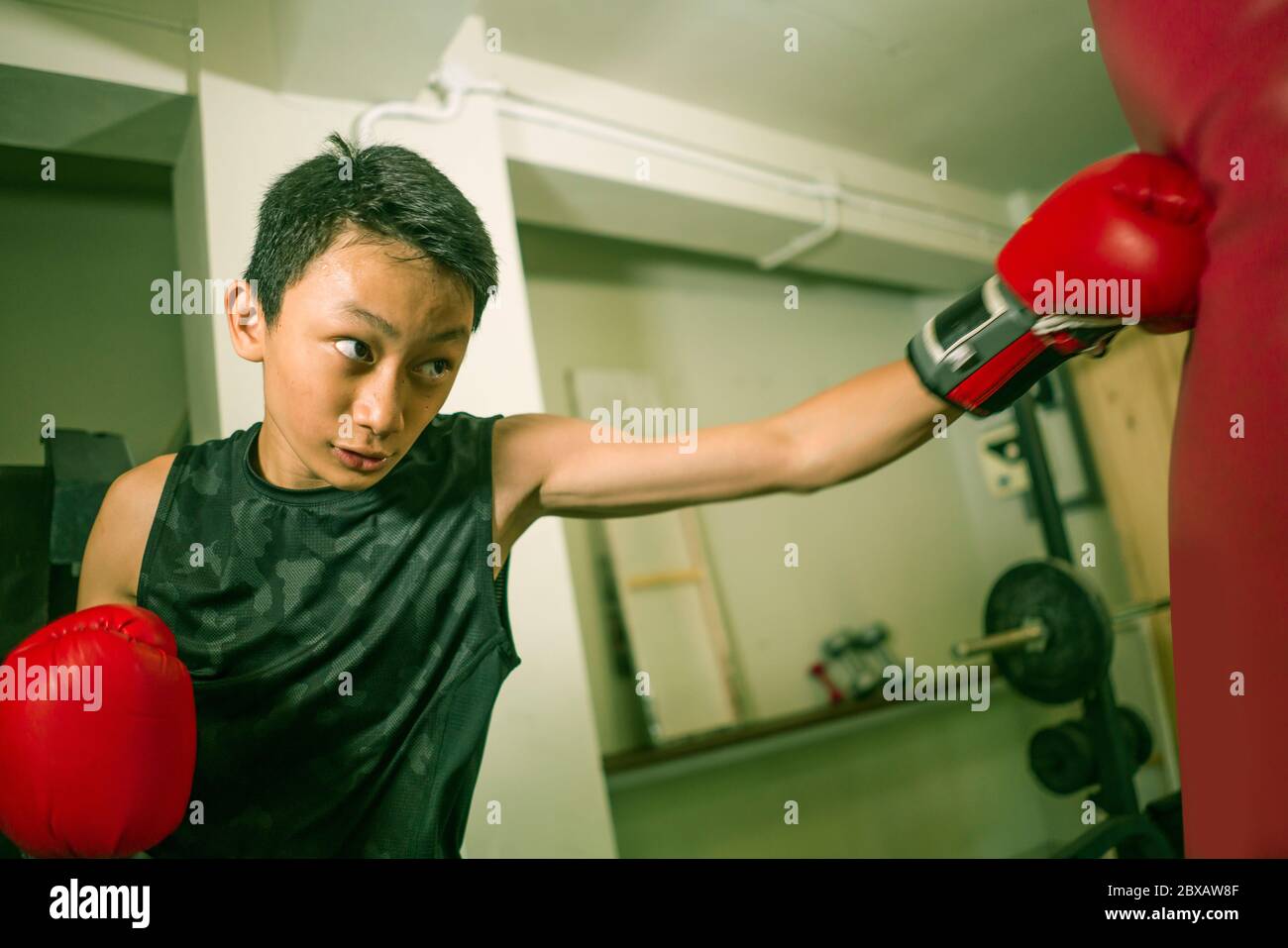 Asian American teenager boxing on gym . young handsome and fierce ...