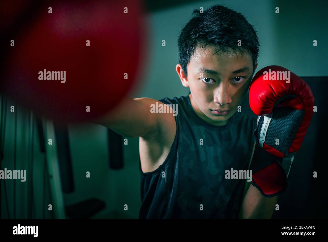Asian American teenager boxing on gym . young handsome and fierce ...