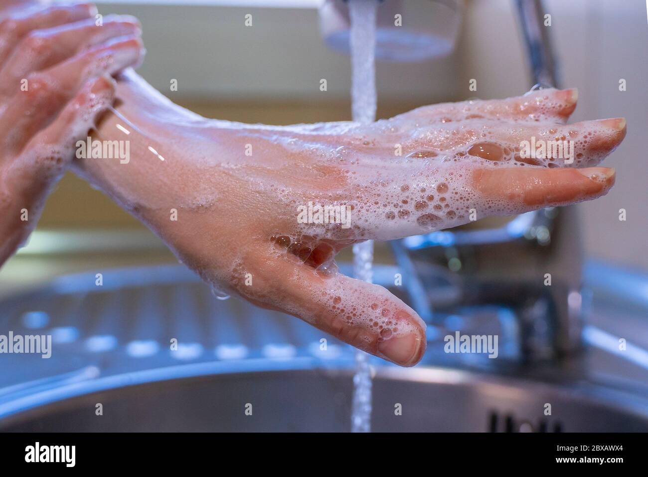 Washing hands and arms properly. Hygiene concept. Rubbing with soap and ...