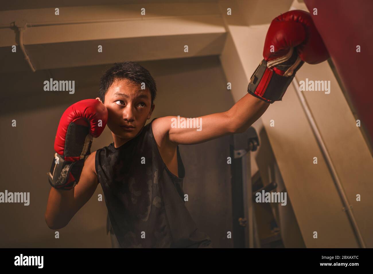Asian American teenager boxing on gym . young handsome and fierce ...
