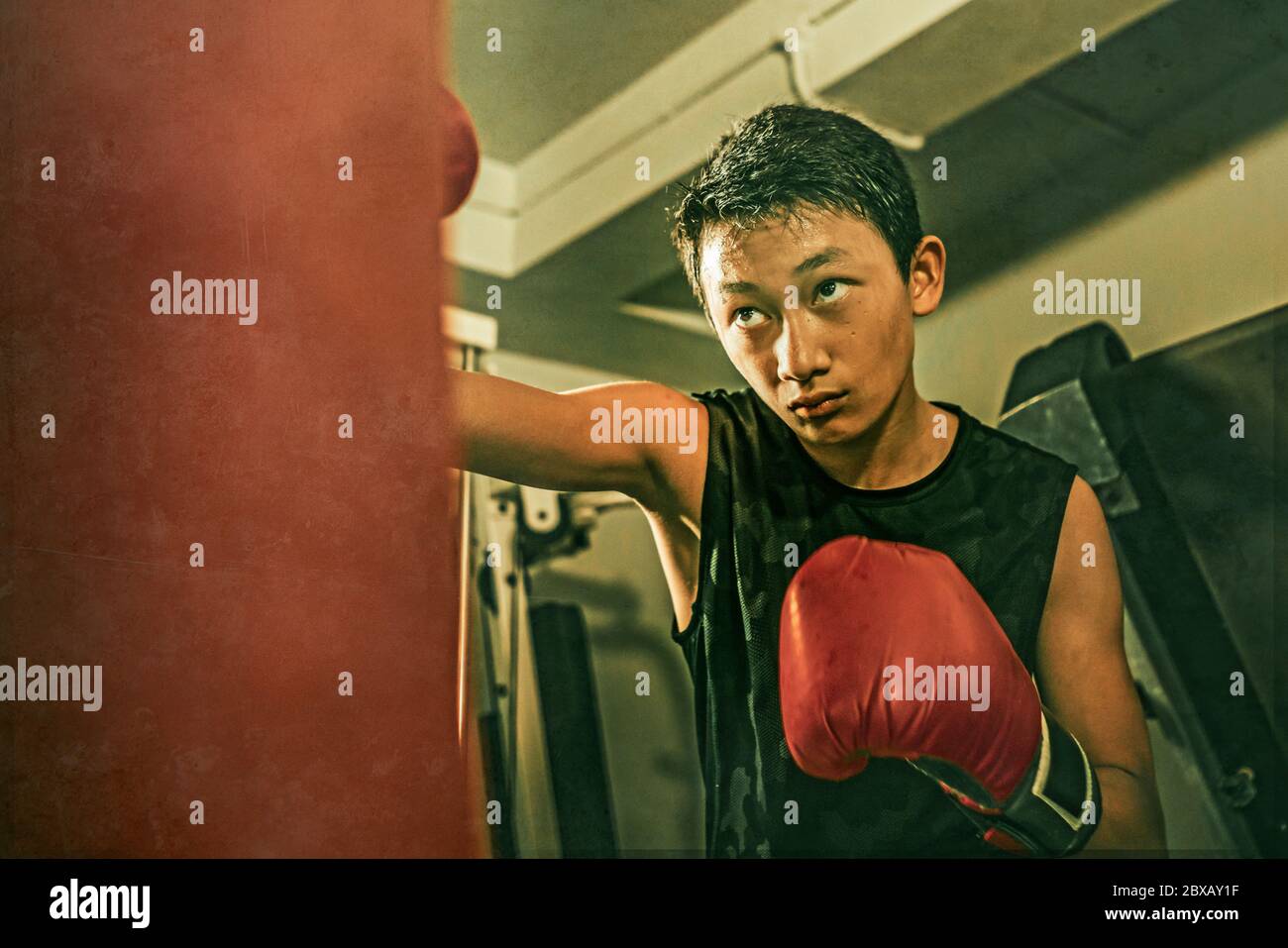 Asian American teenager boxing on gym . young handsome and fierce ...