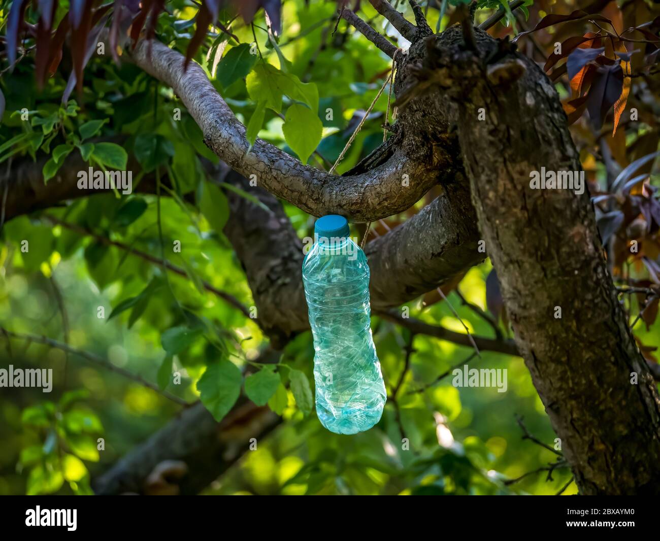 Recycle bottle washing plant hi-res stock photography and images - Alamy