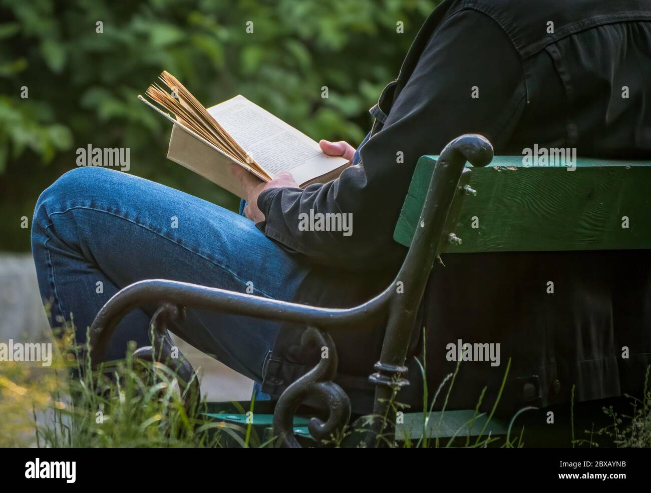 Man sitting on a bench in the park and reading a book Stock Photo - Alamy