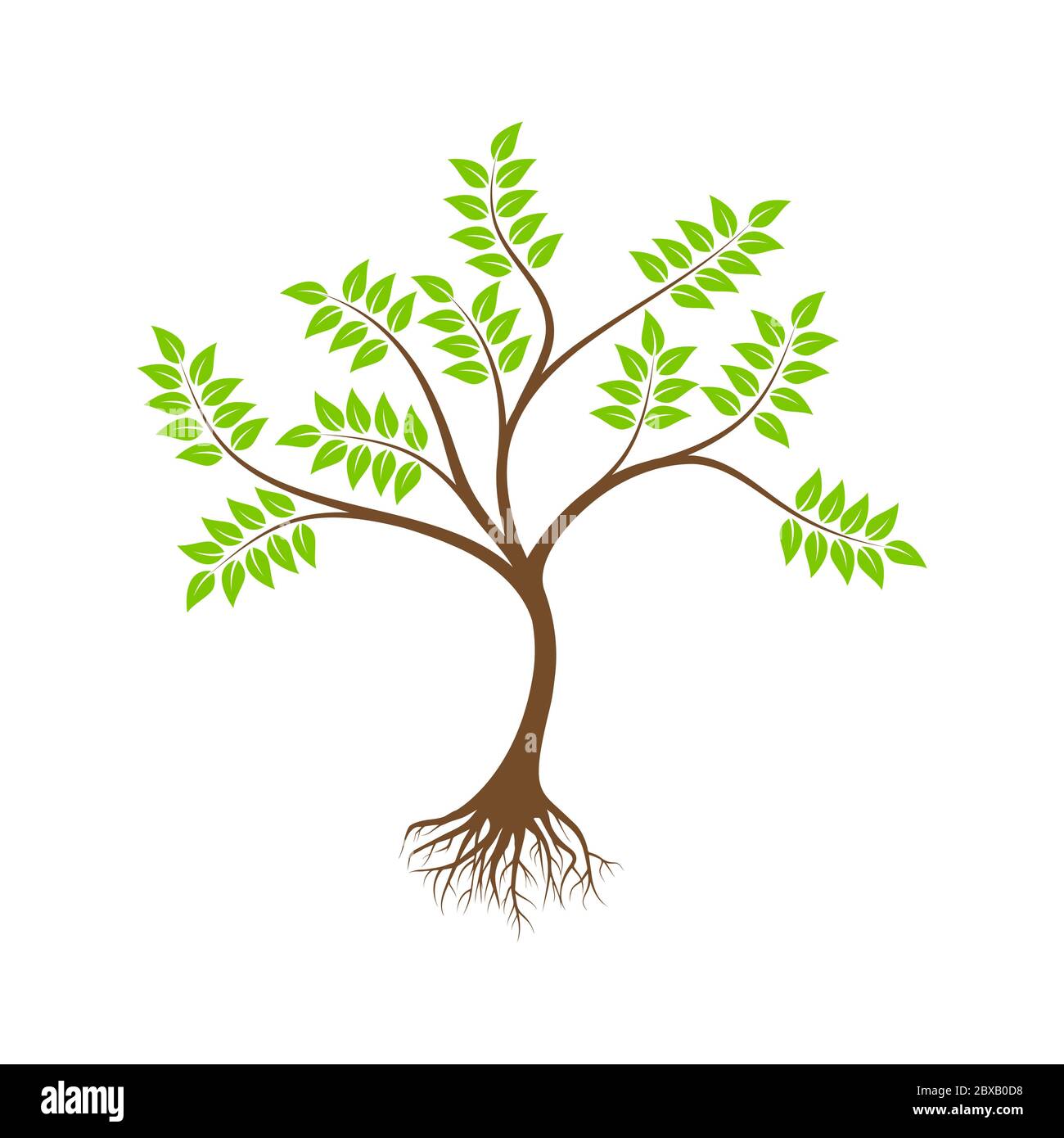 Tree roots Stock Vector Images - Alamy