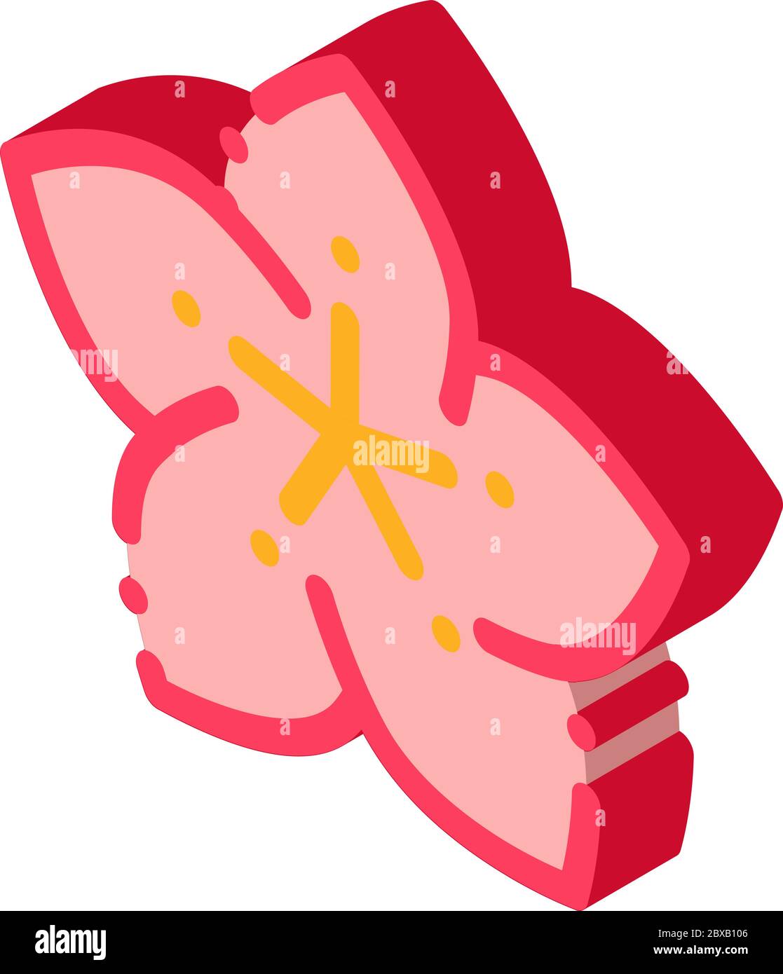 Lotus Flower isometric icon vector illustration Stock Vector Image ...