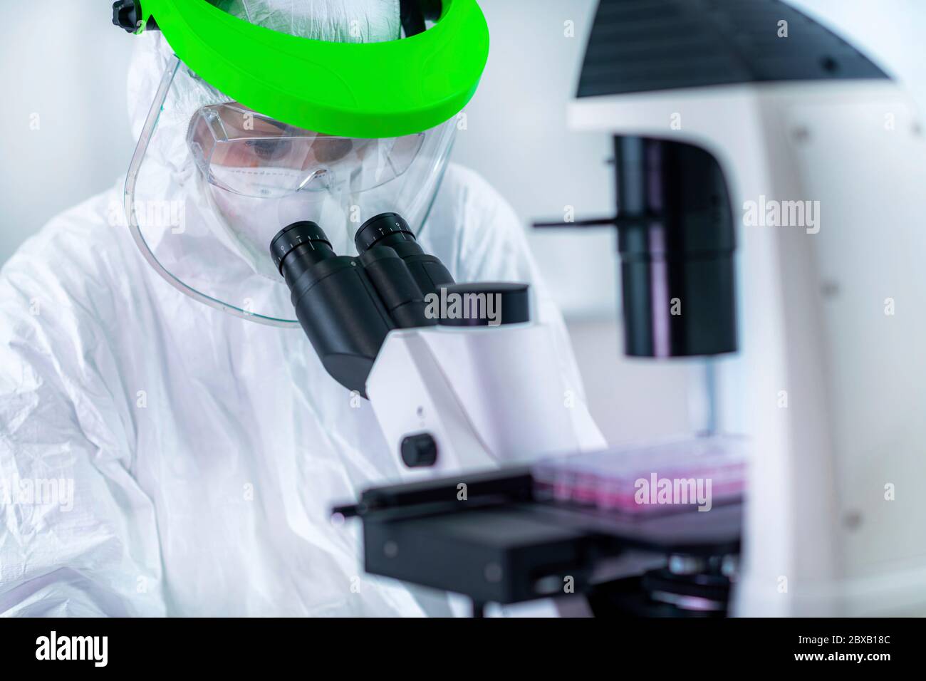 Coronavirus vaccine research scientist in PPE Stock Photo - Alamy