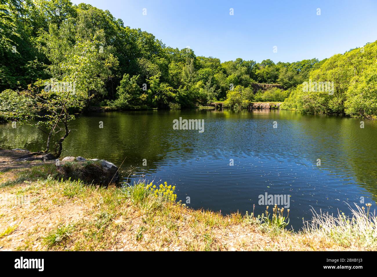 Scenic view at the silver lake on the mountain Lemberg, Rhineland ...