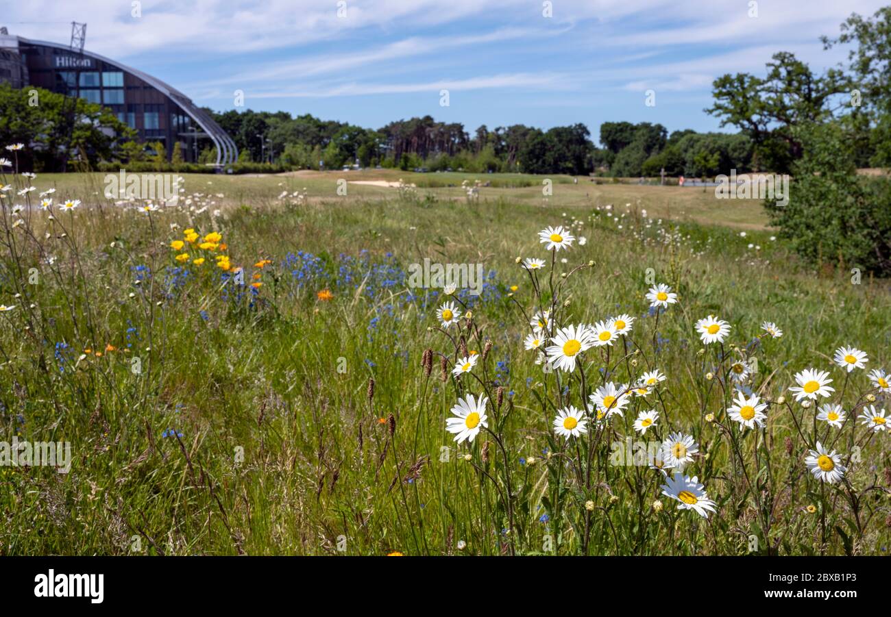 Boundary lakes golf course hi-res stock photography and images - Alamy