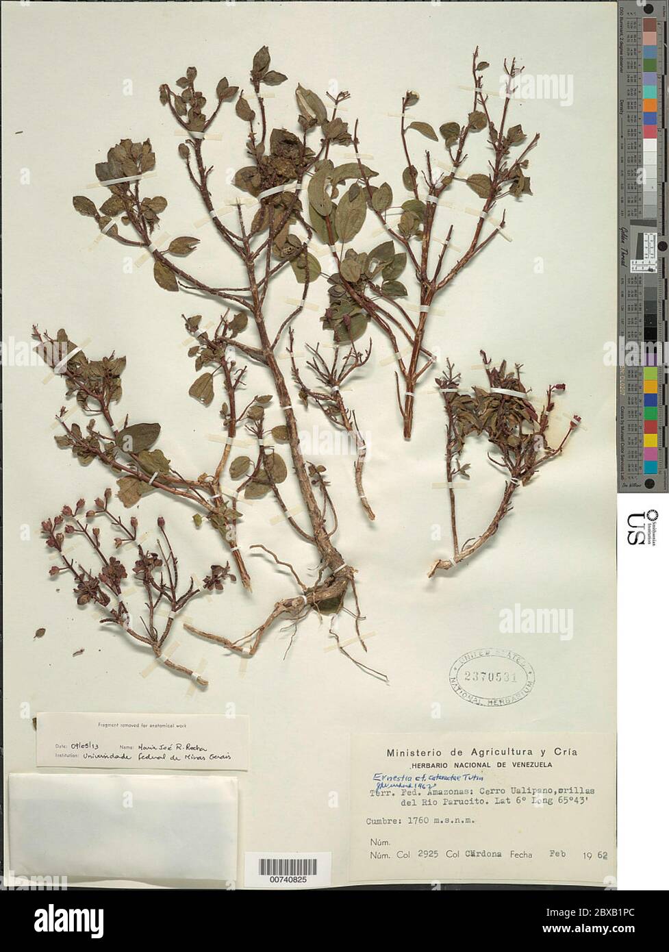 Cataractae hi-res stock photography and images - Alamy