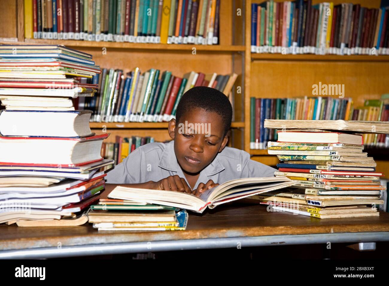 Schoolboy reading in library Stock Photo - Alamy