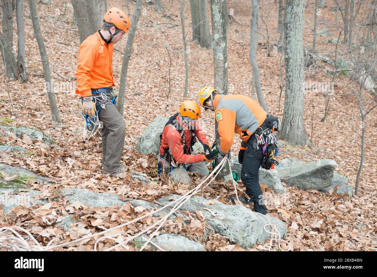Search and Rescue Team performing cliff recovery drill Stock Photo - Alamy