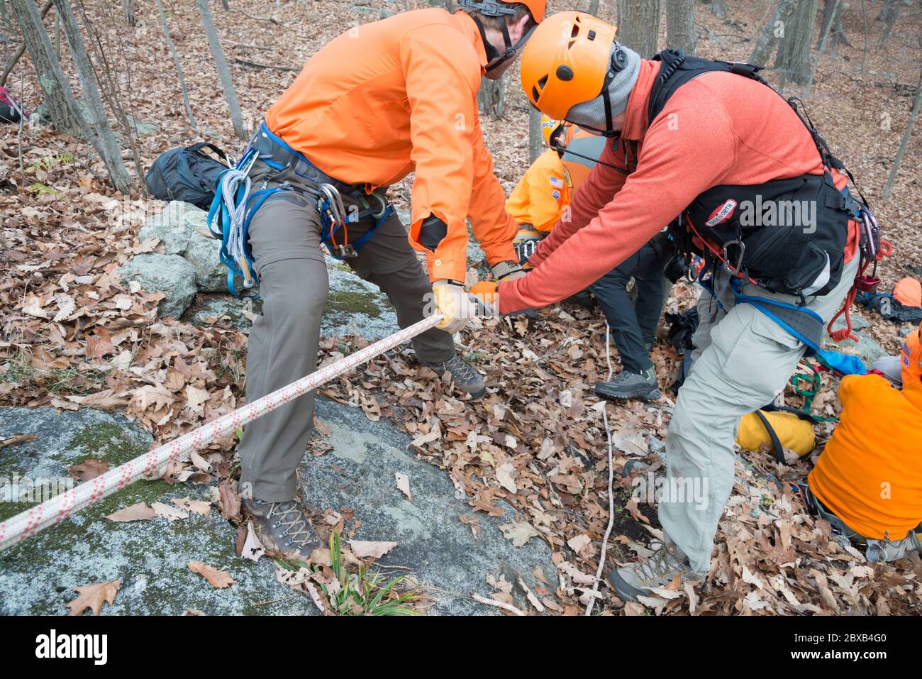 Search and Rescue Team performing cliff recovery drill Stock Photo - Alamy