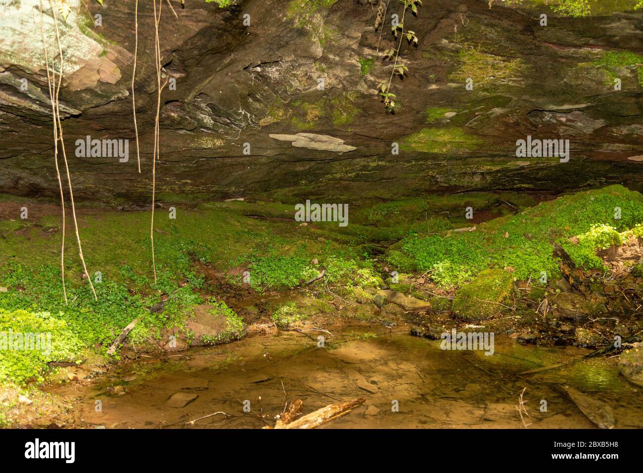Water flowing over moss covered rocks in the canyon Hexenklamm Stock ...