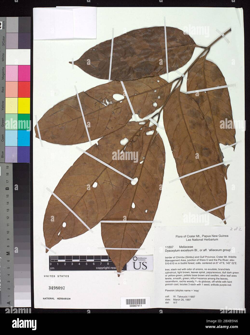 Excelsum hi-res stock photography and images - Alamy