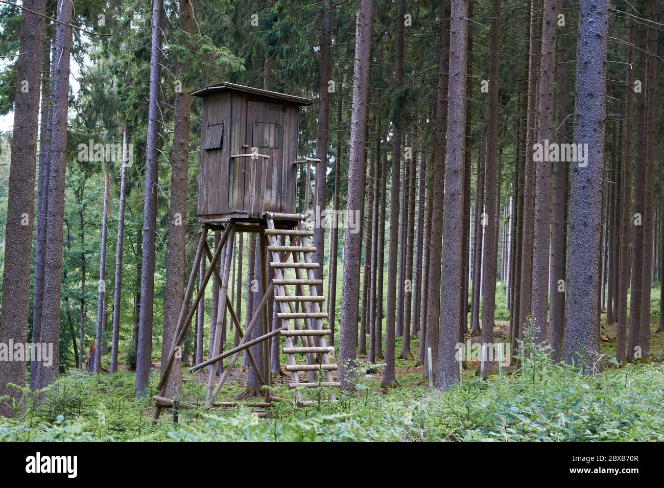 Wooden Hunters High Seat hunting tower in rural landscape, Germany ...