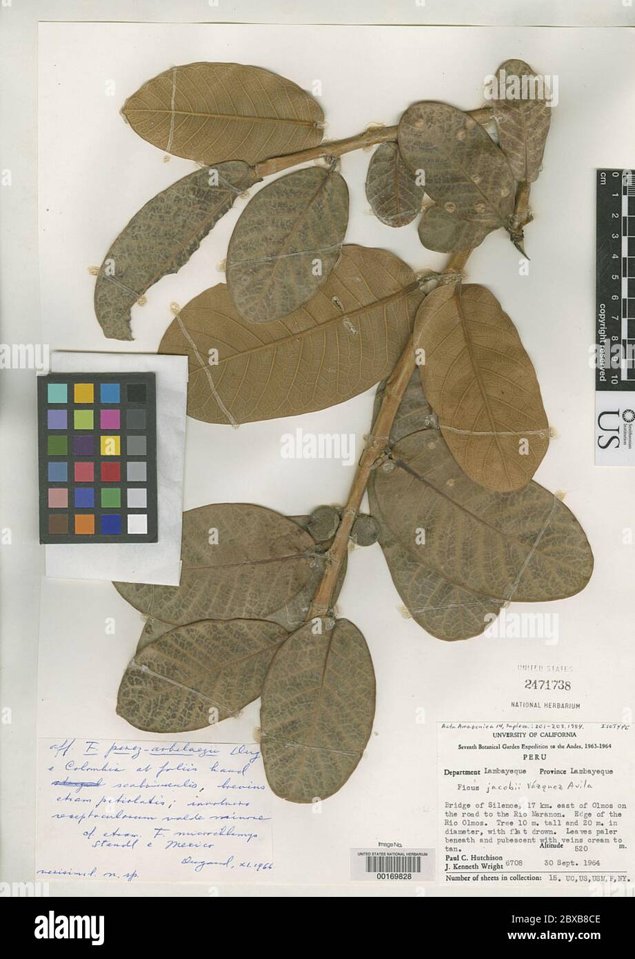 Vzq hi-res stock photography and images - Alamy