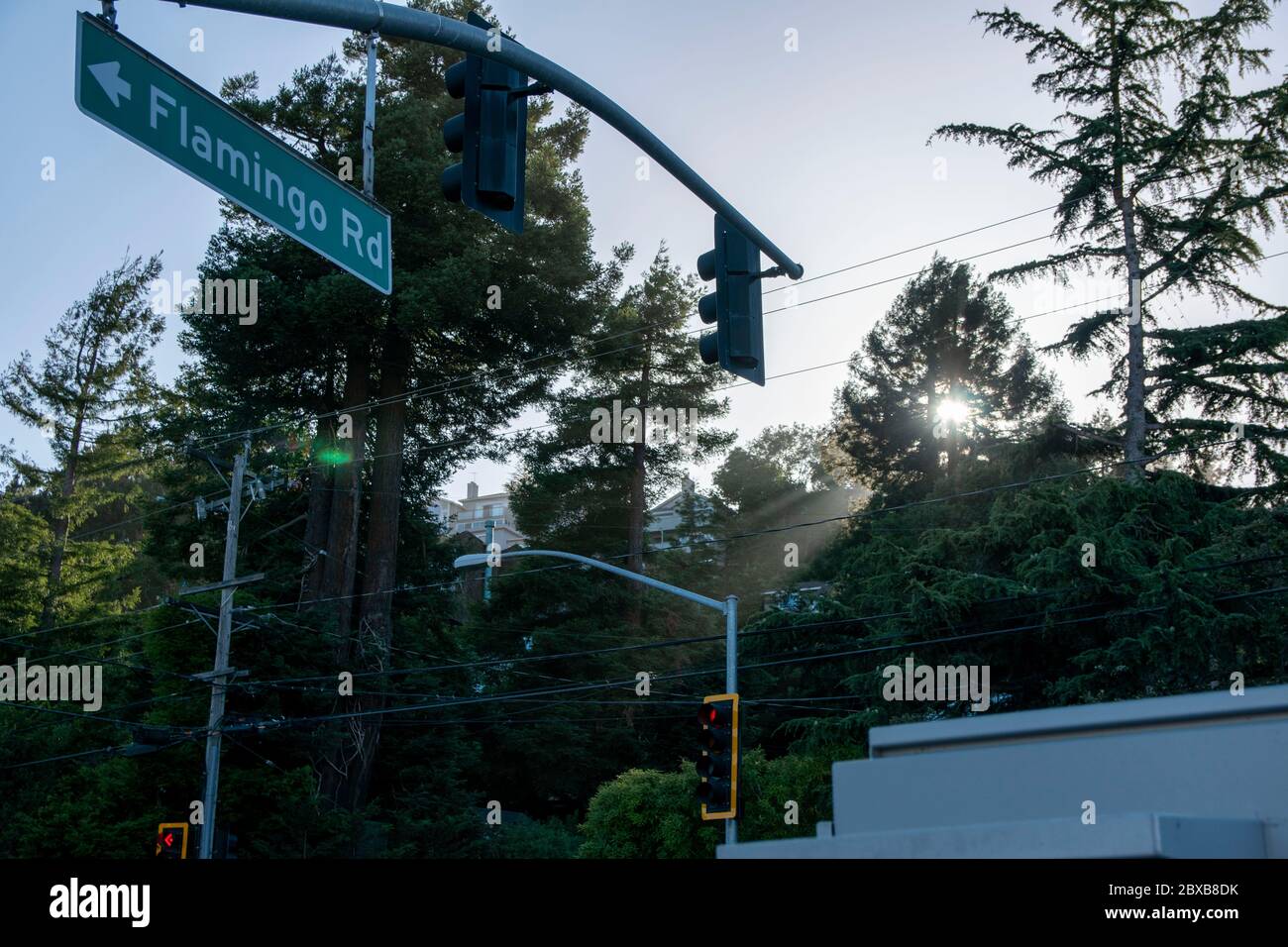 The sun casts its rays through the trees at this intersection in Mill ...