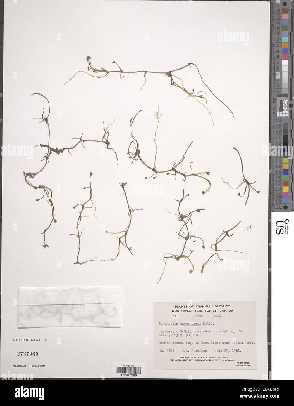 Rottb hi-res stock photography and images - Alamy