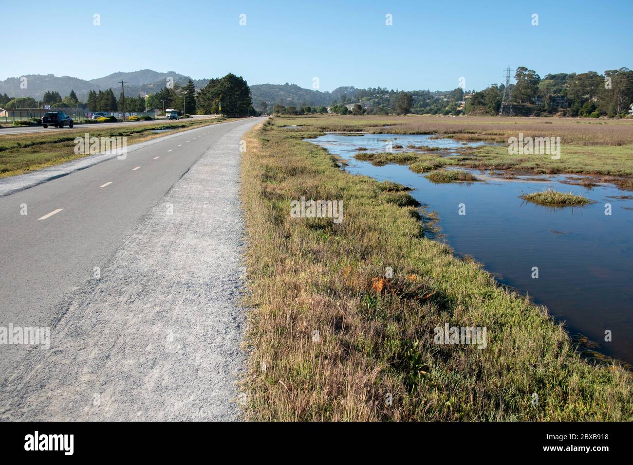 Parts of the Bay Trail run through the marshes of Mill Valley, CA Stock ...