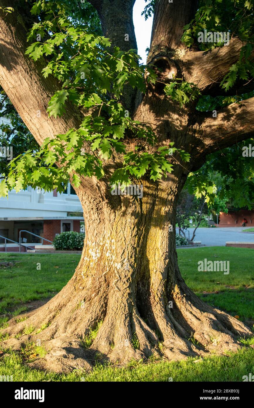Quiet sign library hi-res stock photography and images - Alamy