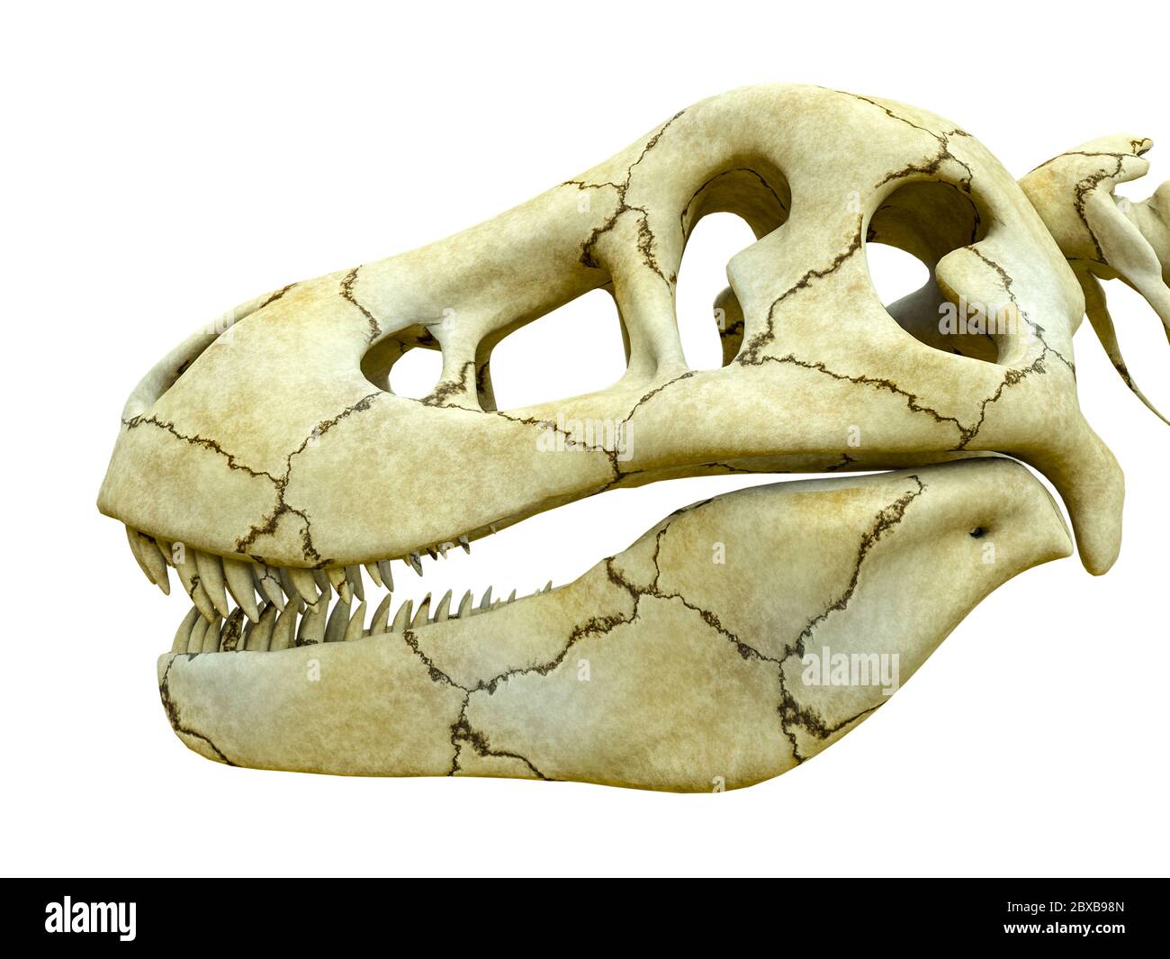 Side view tyrannosaurus rex dinosaur Cut Out Stock Images & Pictures ...