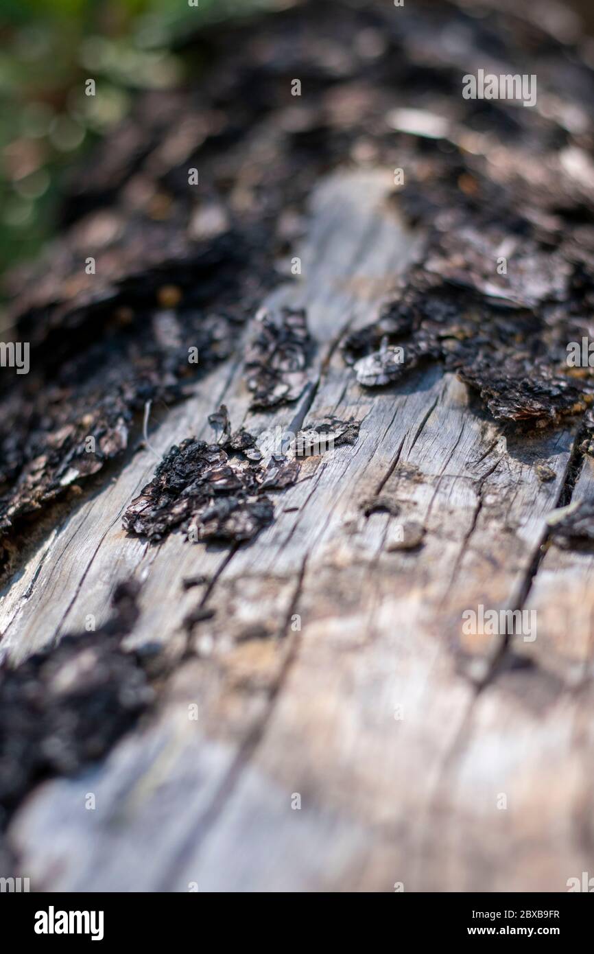 There are several hiking trails in Valley Vista Regional Park in Yolo ...