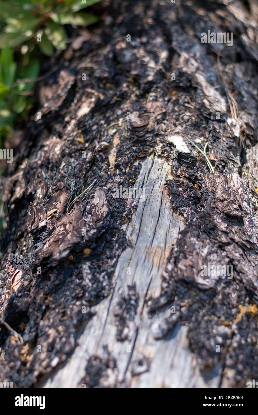 There are several hiking trails in Valley Vista Regional Park in Yolo ...