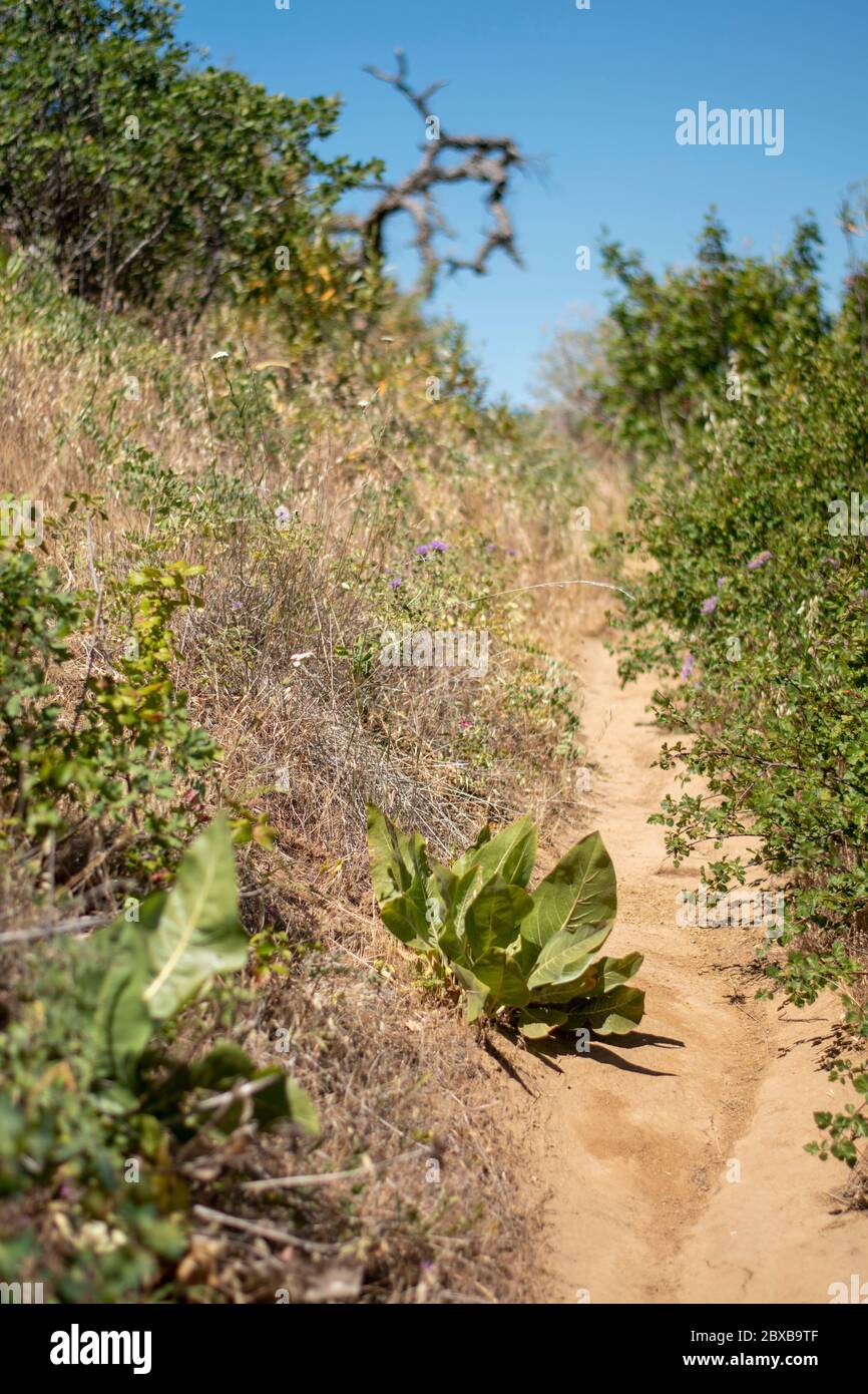 There are several hiking trails in Valley Vista Regional Park in Yolo ...