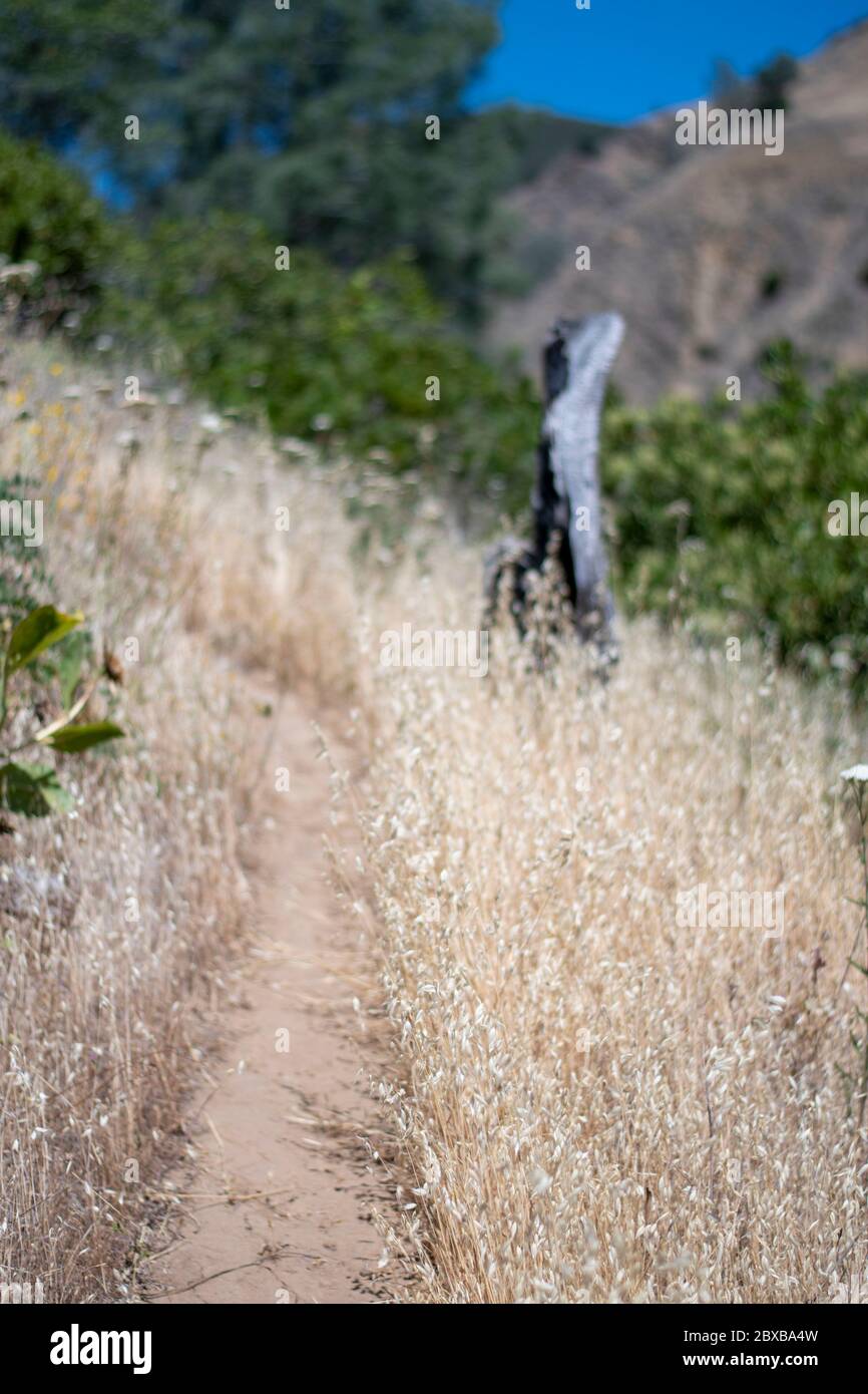There are several hiking trails in Valley Vista Regional Park in Yolo ...