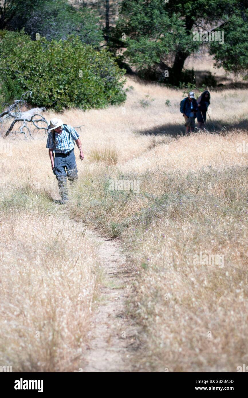 There are several hiking trails in Valley Vista Regional Park in Yolo ...