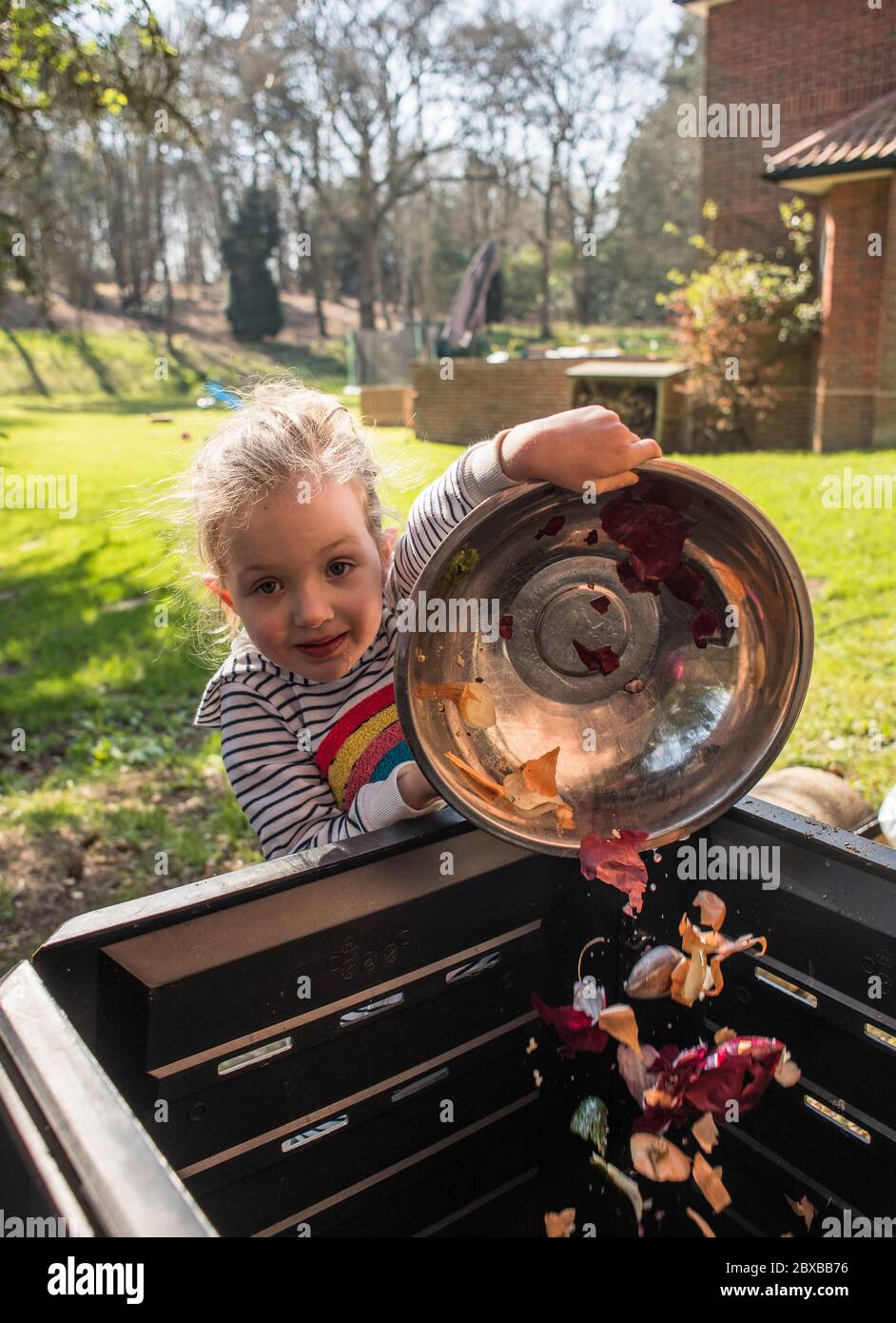 Corona composting, 4 year old pre-school girl emptying out the compost ...