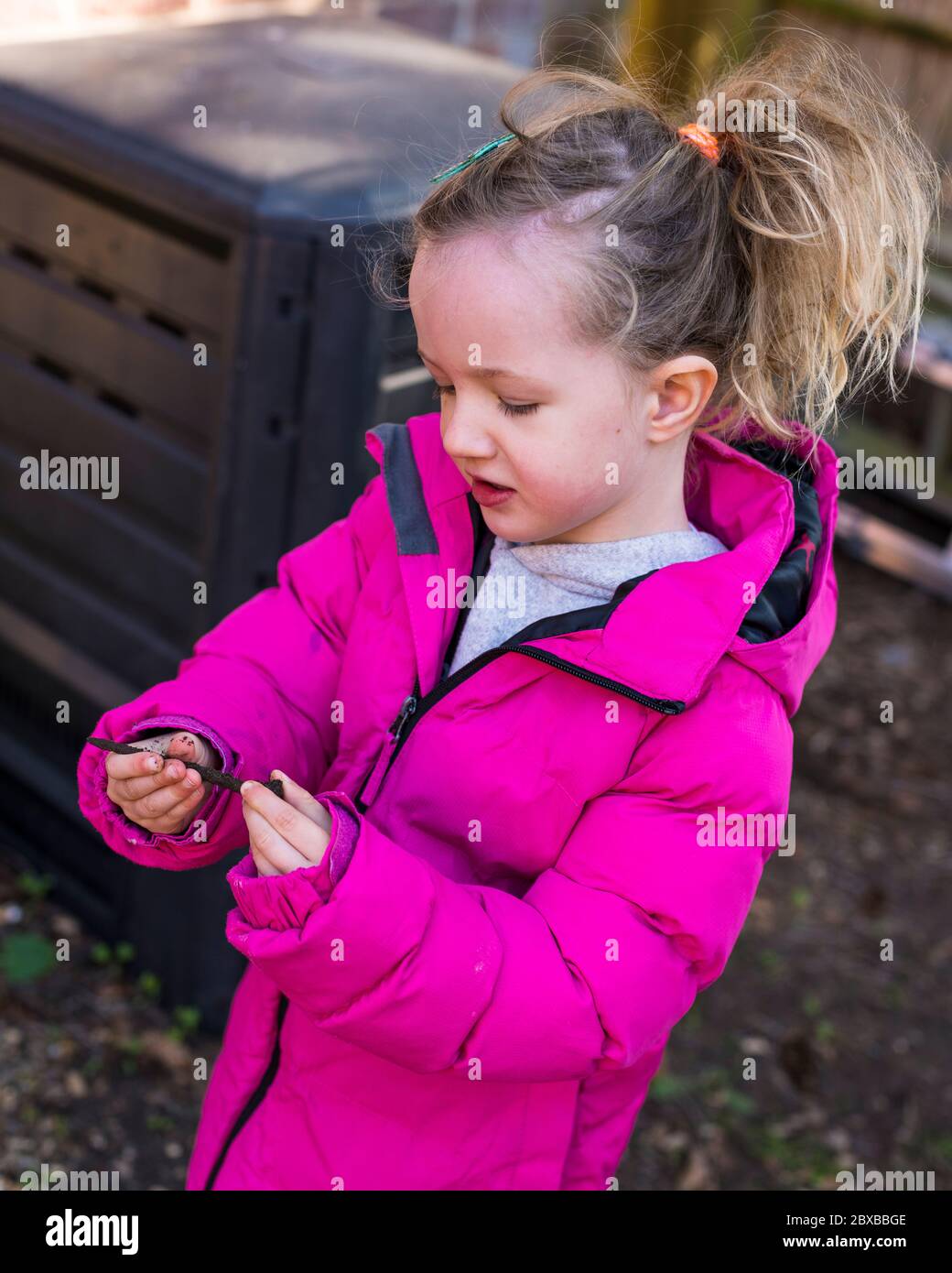 Pre-school girl emptying compost bin during lockdown, Girl wearing pink ...