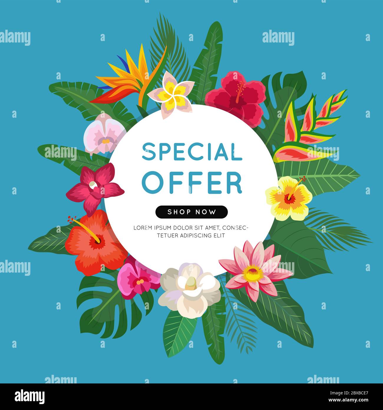 Special offer banner with tropical flowers and leaves. Circular frame ...