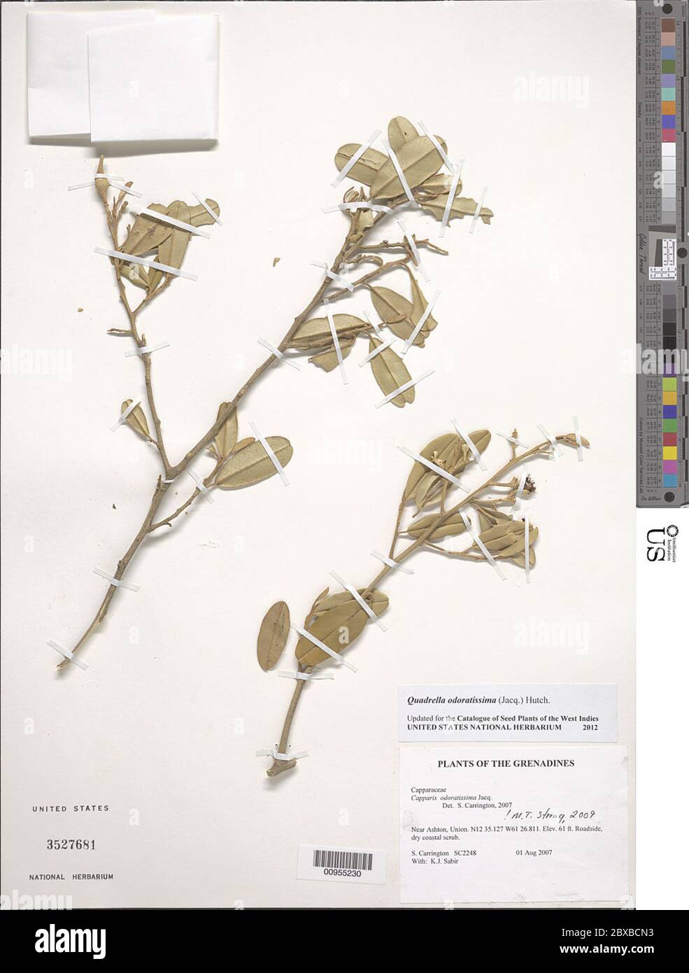 Quadrella hi-res stock photography and images - Alamy