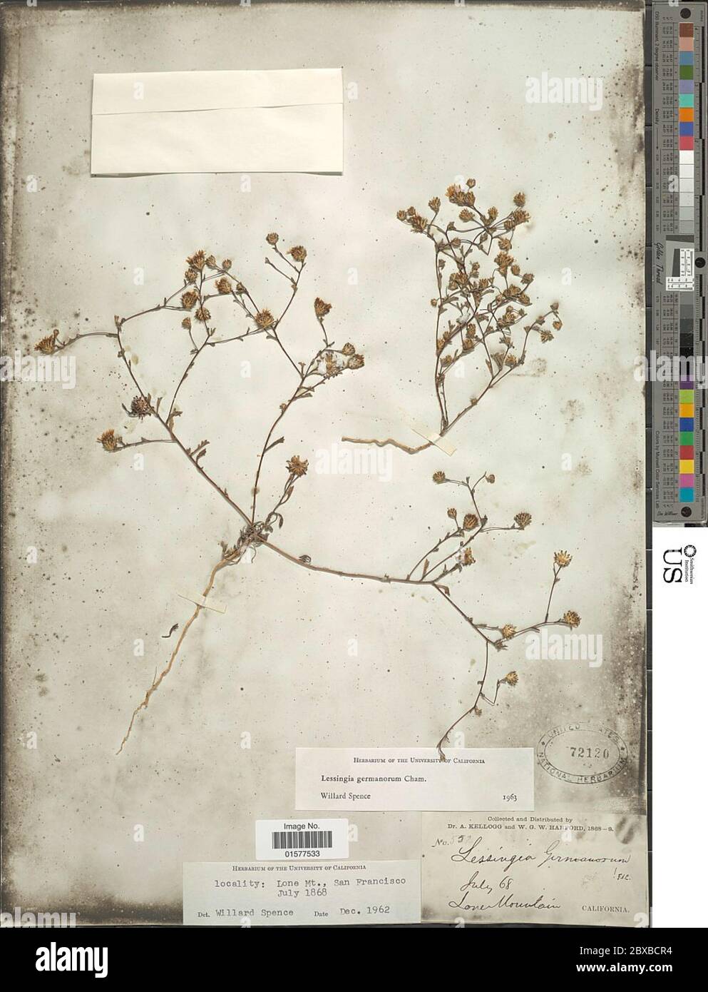 Rare flora documentation hi-res stock photography and images - Alamy