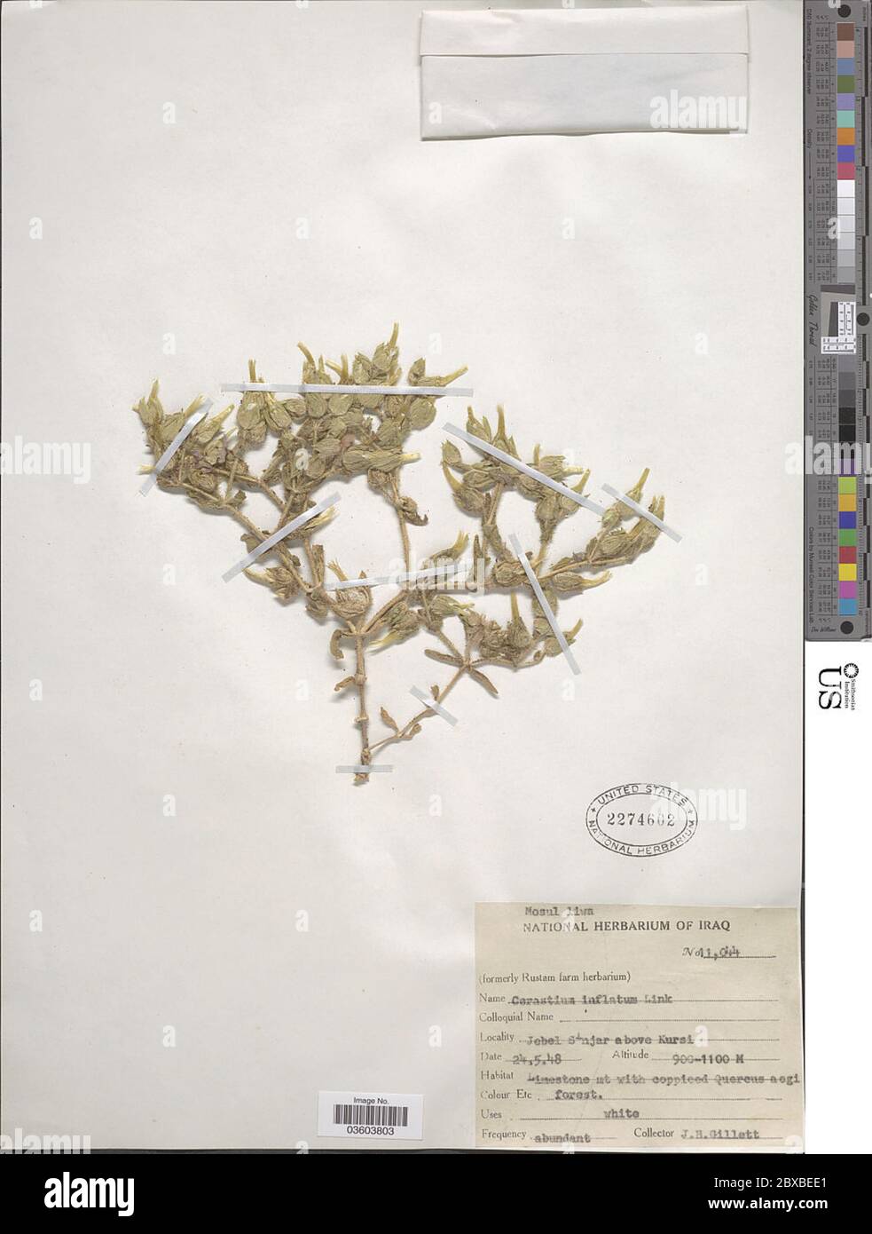 Inflatum hi-res stock photography and images - Alamy