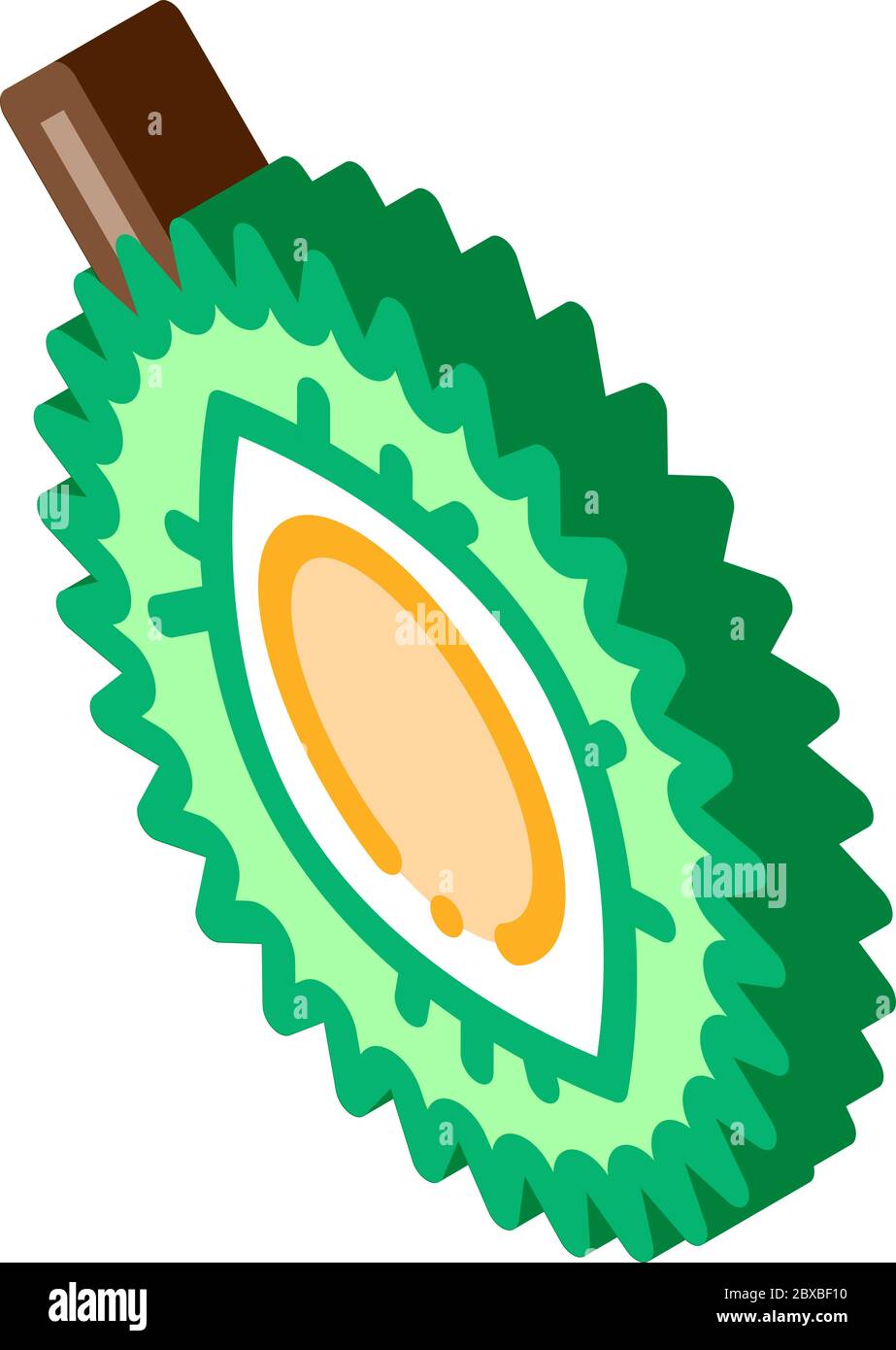 Durian Sliced Tropical Fruit isometric icon vector illustration Stock ...