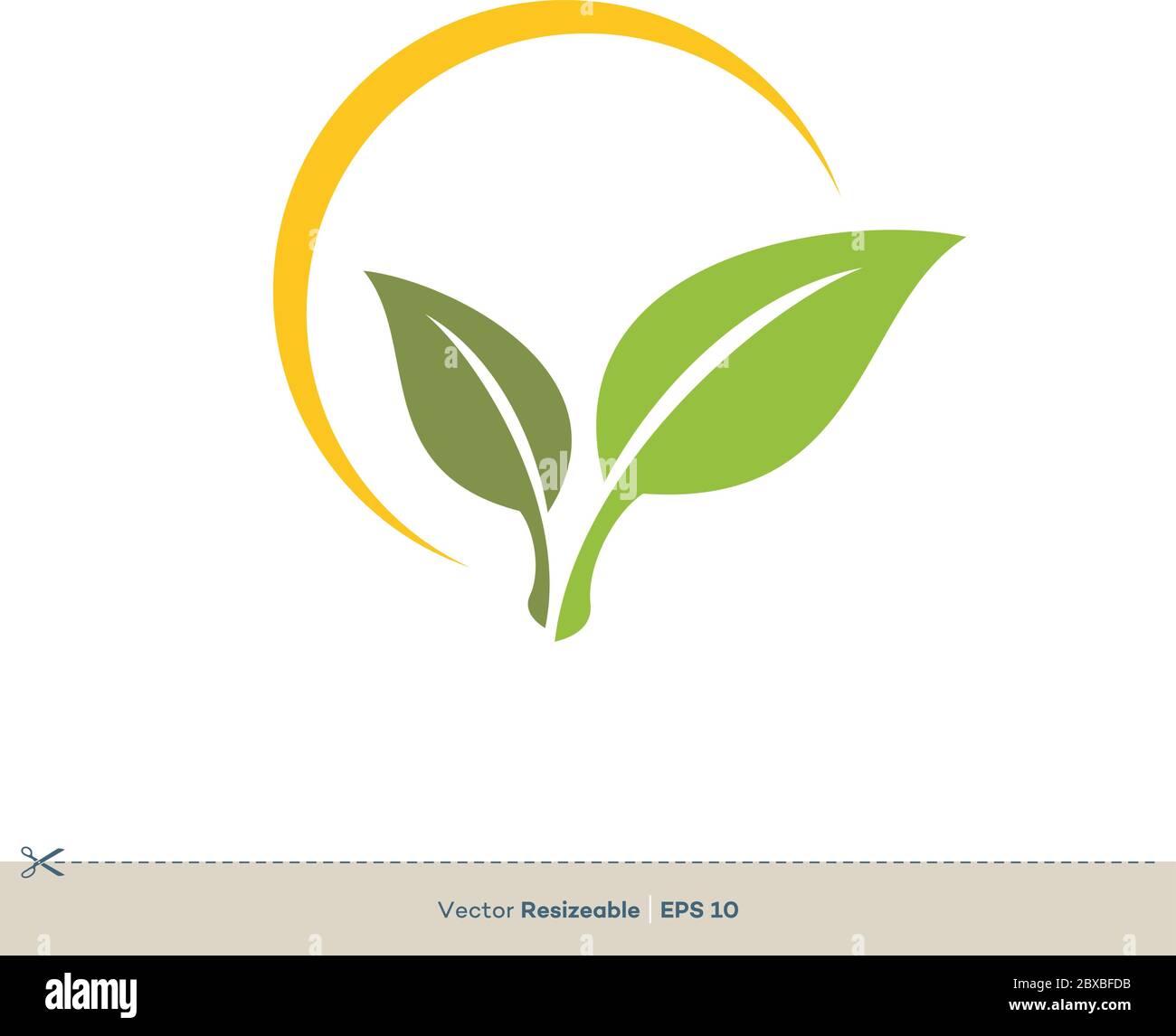 Green Leaves Vector Logo Template Illustration Design. Vector EPS 10 ...