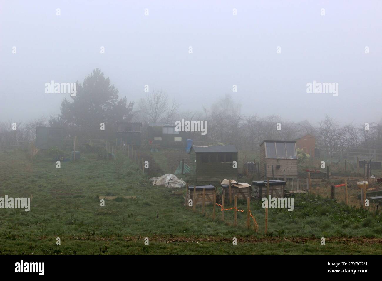Allotment and surrounding farmland, Holt, Wrexham Stock Photo - Alamy