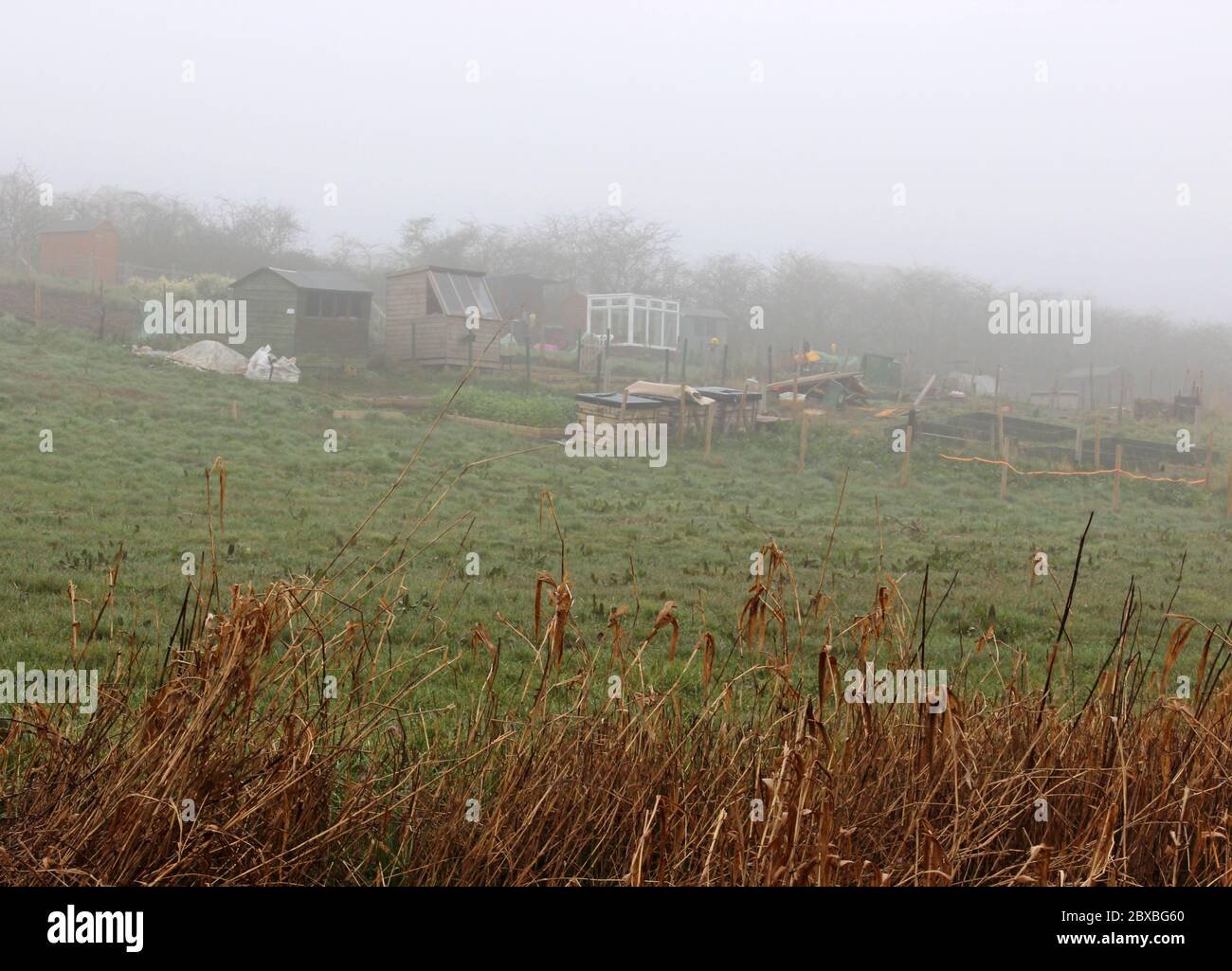 Allotment and surrounding farmland, Holt, Wrexham Stock Photo - Alamy