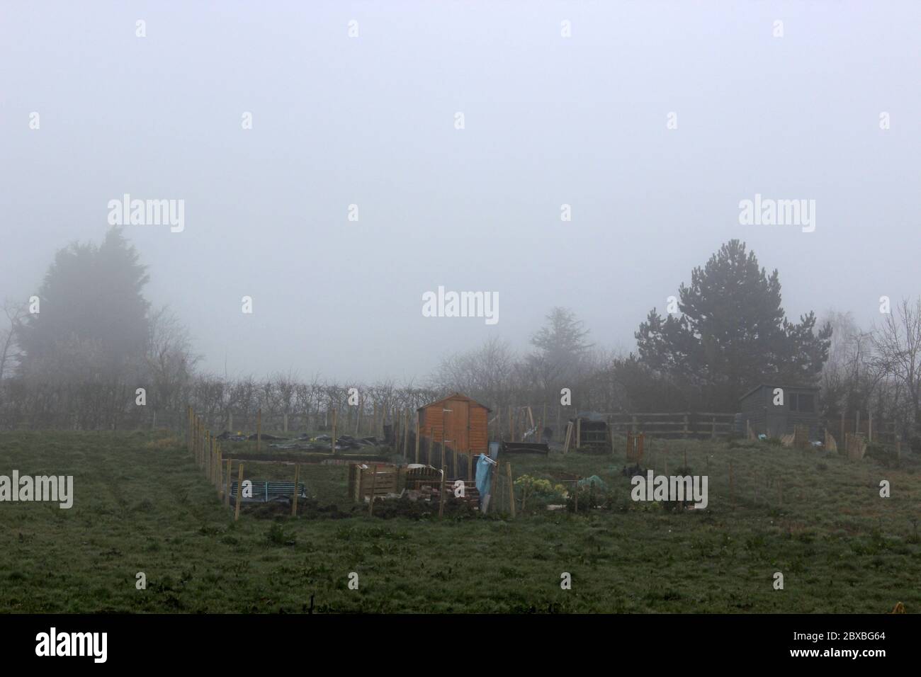 Vegetable garden scenic hi-res stock photography and images - Alamy