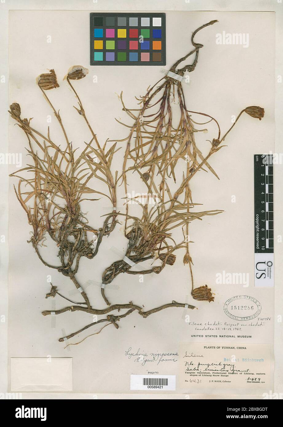 Bocquet hi-res stock photography and images - Alamy