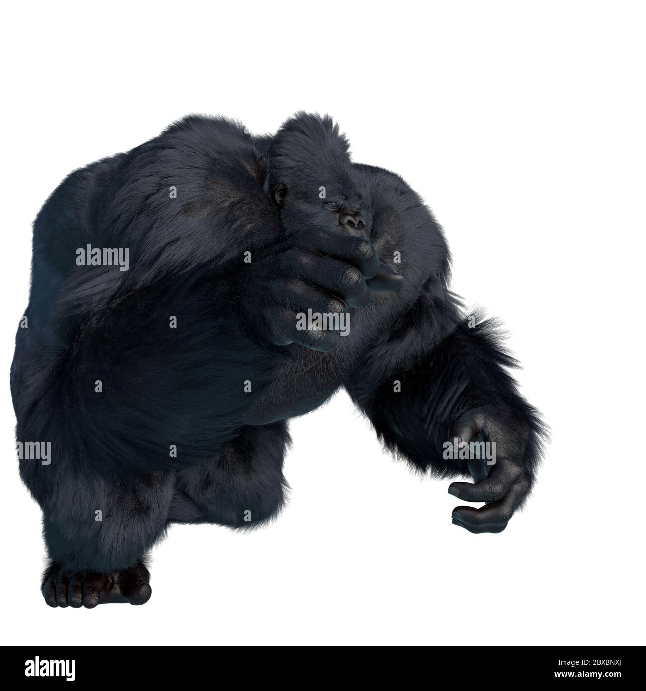 super gorilla going to get it. This giant beast in clipping path is ...