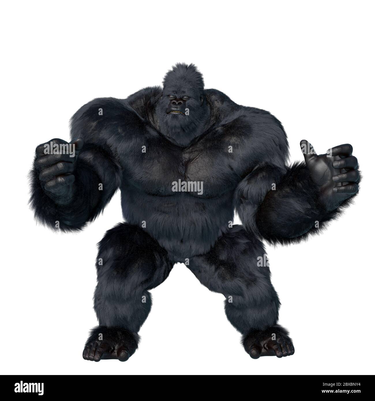 super gorilla is ready to fight. This giant beast in clipping path is ...