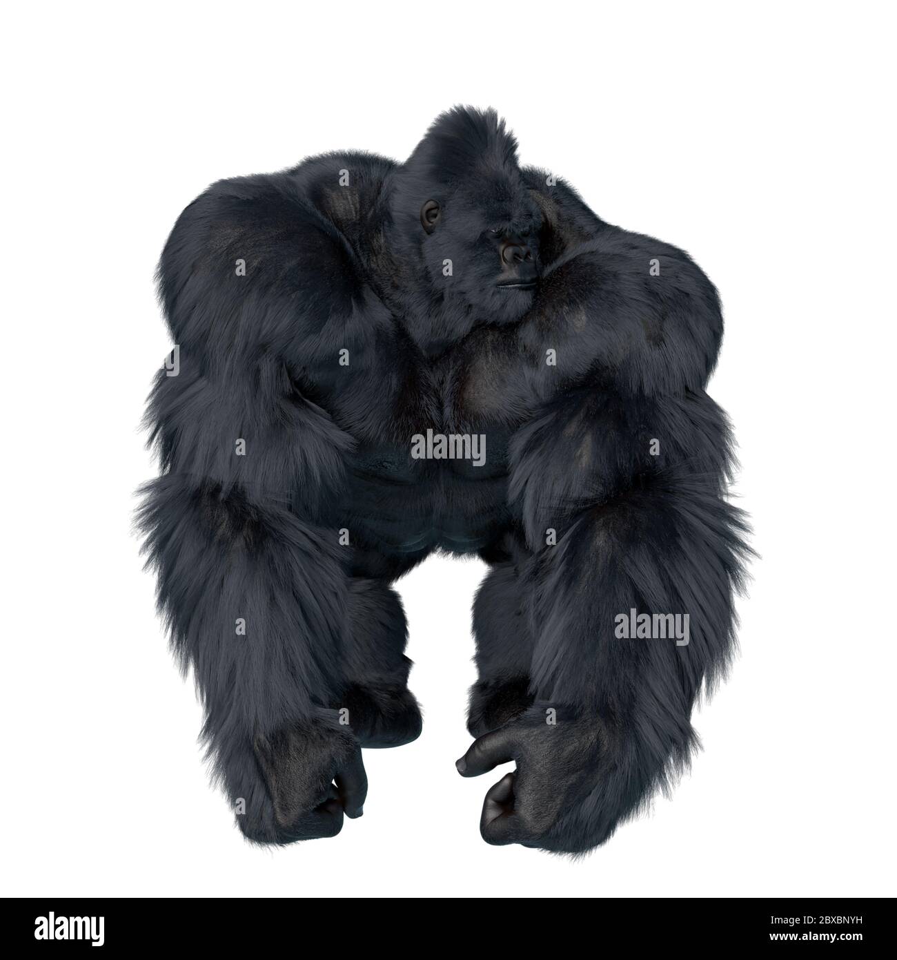 super gorilla idle. This giant beast in clipping path is very useful ...