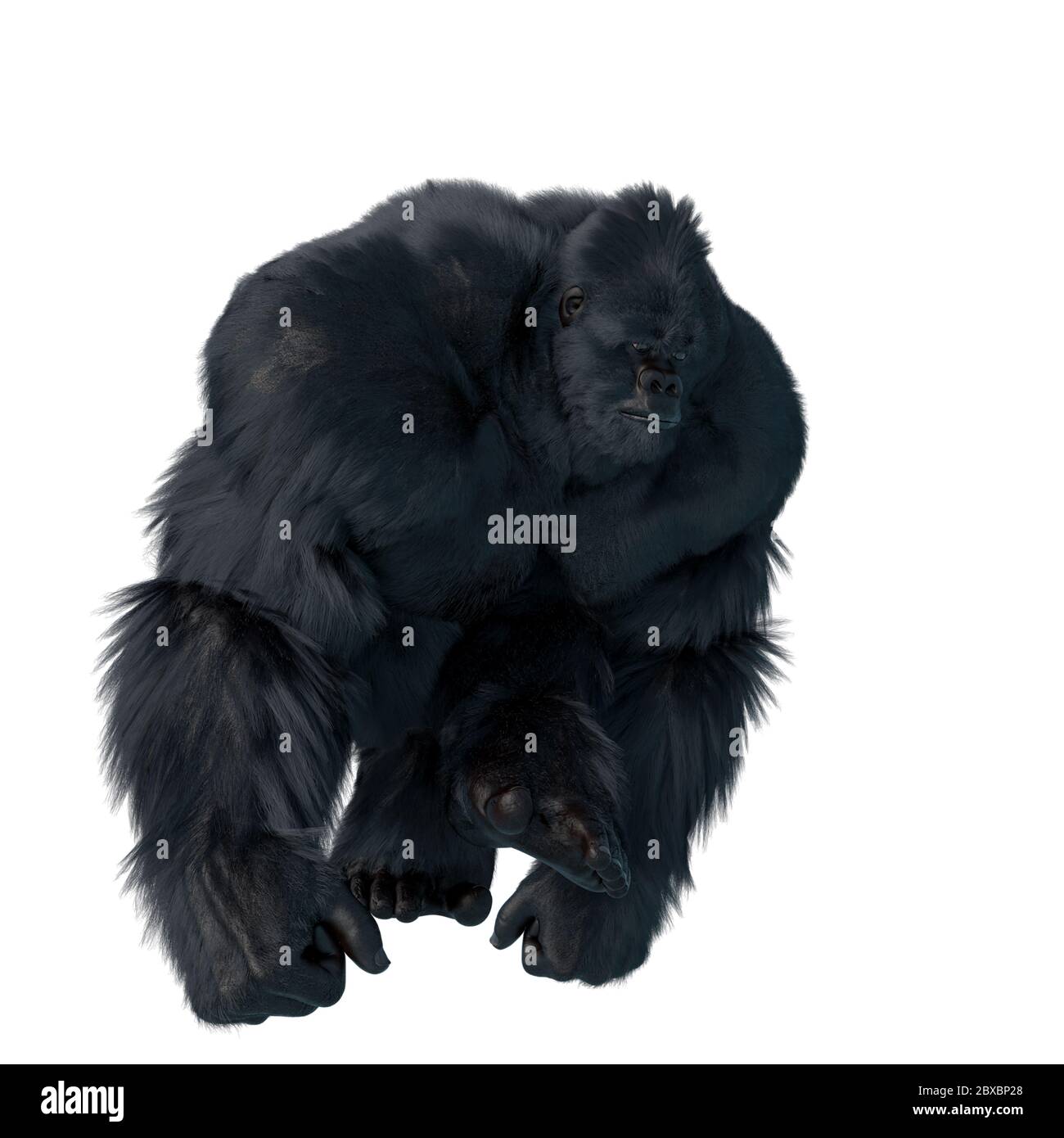 super gorilla knuckles jump. This giant beast in clipping path is very ...