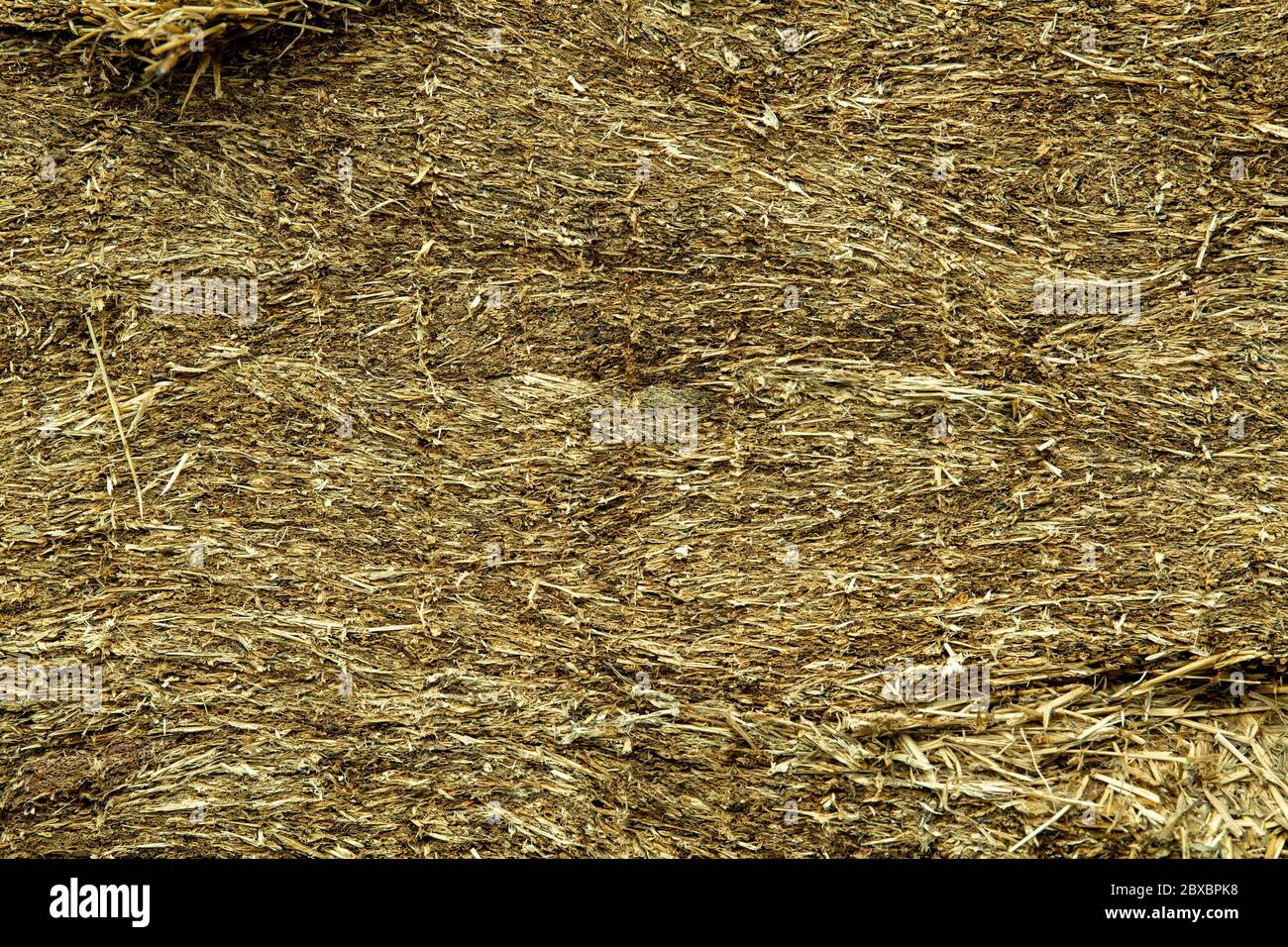 Silage clamp hi-res stock photography and images - Alamy