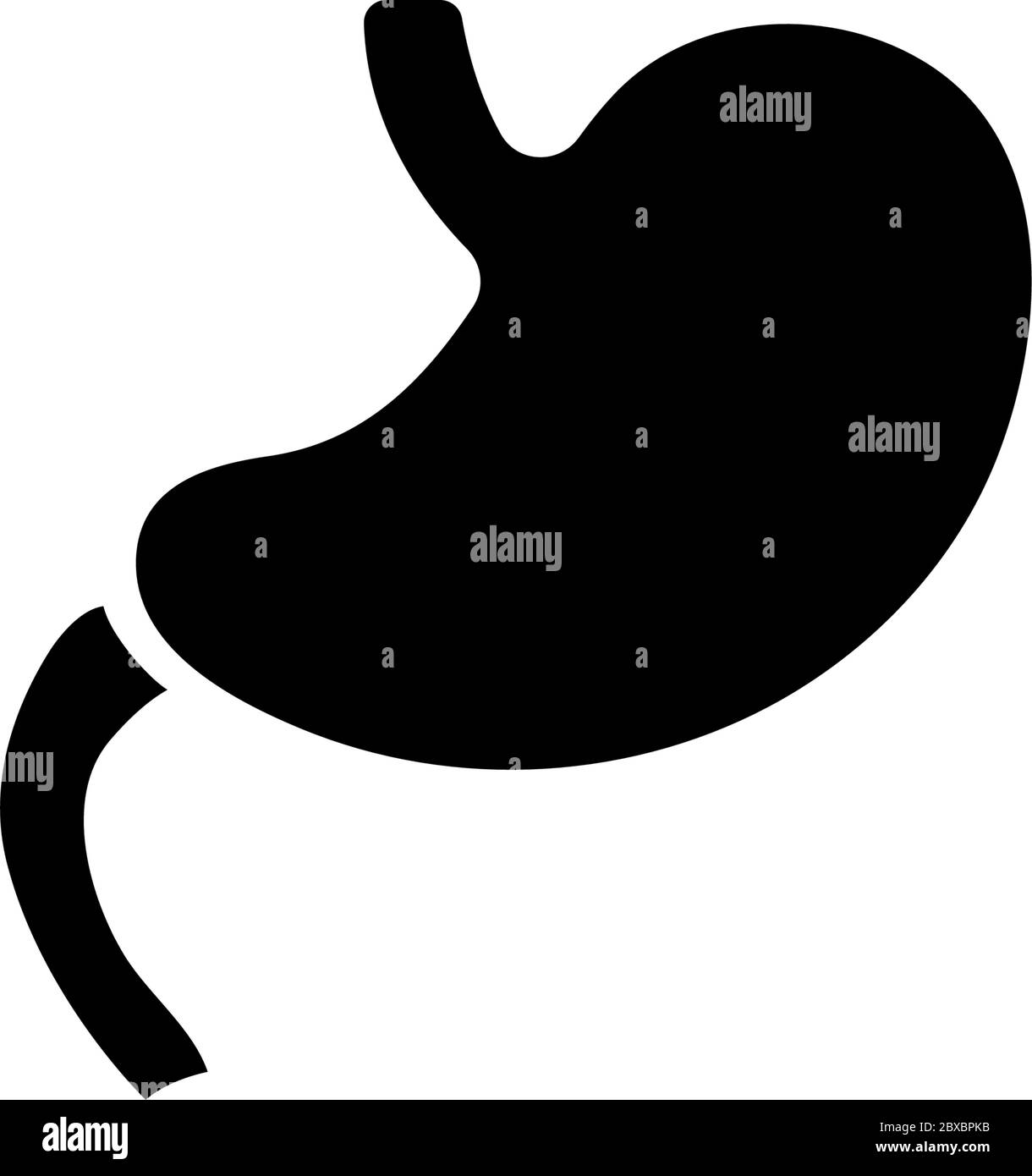 Stomach, Human Digestive Organ, Anatomy. Flat Vector Icon illustration ...