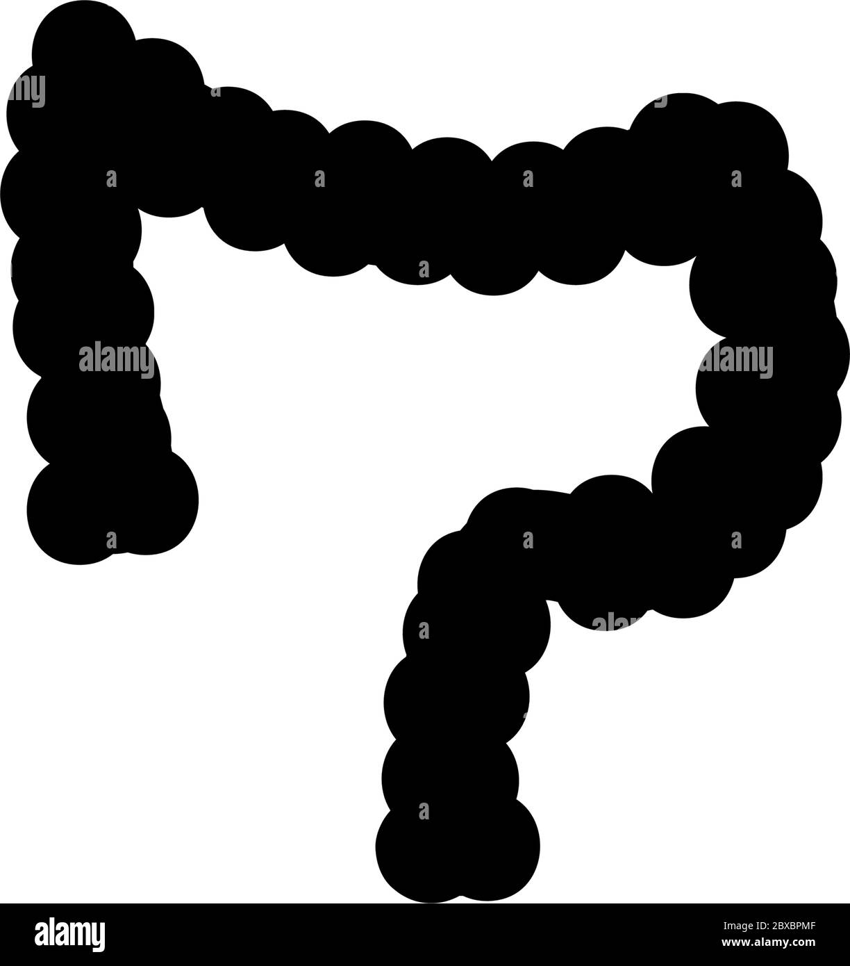 Intestines, Colon, Human Digestive Organ. Flat Vector Icon illustration ...